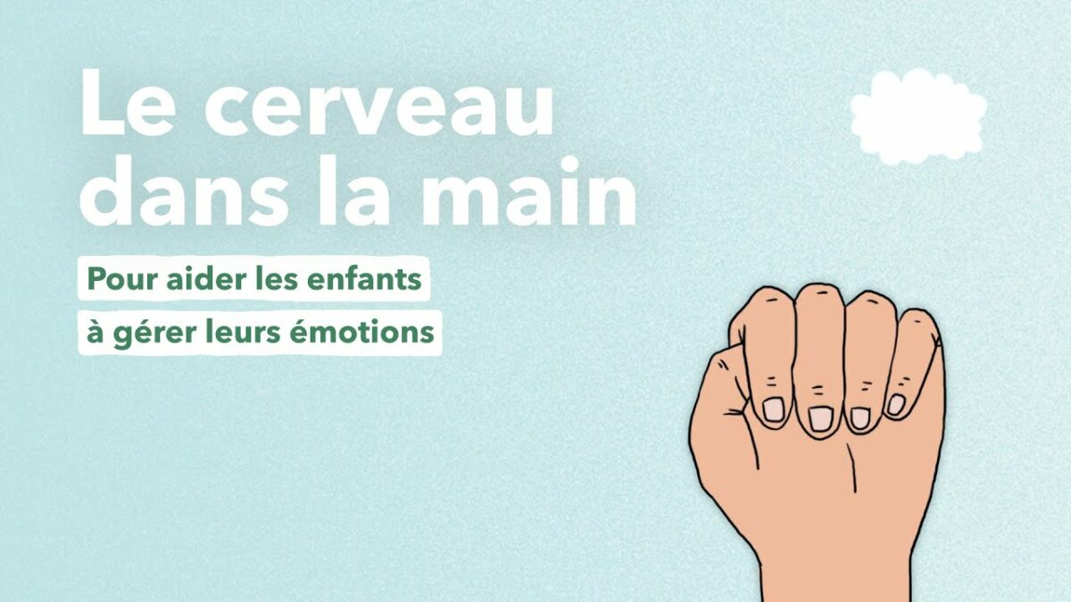 Le Cerveau De Votre Enfant Dr Daniel Siegel Tina Payne Bryson Les